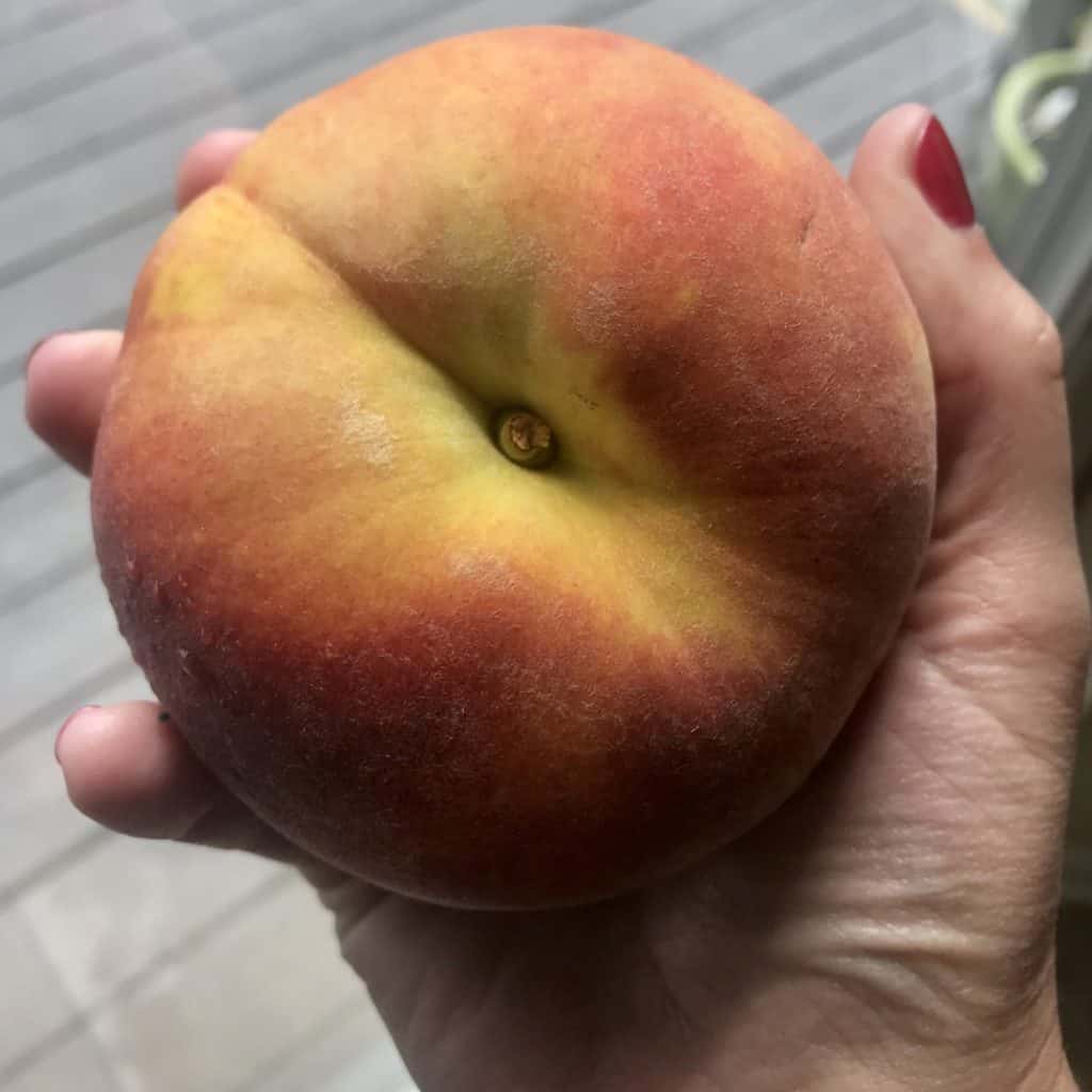 Easy Peach Sherbert | Cuts and Crumbles